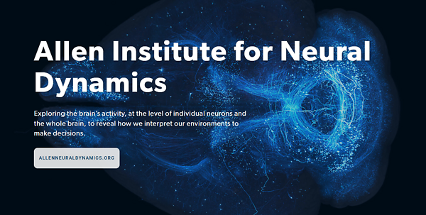 Allen Neural Dynamics Workshop at OIST | OIST Groups
